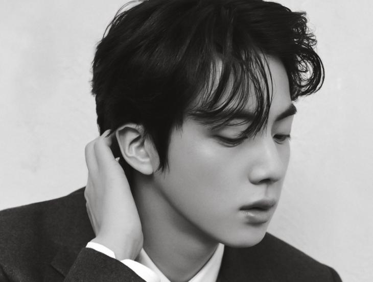 ‘Jin is Visual King‘ 방탄소년단 진, 가장 잘생긴 K팝 아이돌 1위…올해에만 벌써 비주얼투표 6관왕 '비주얼의 ...