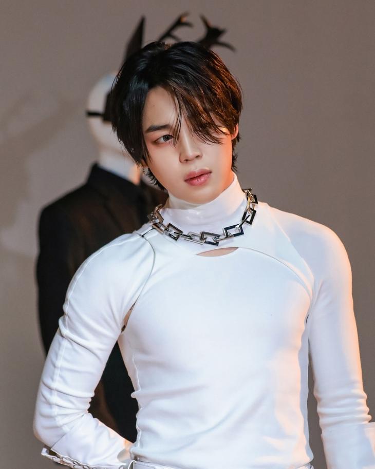 '21세기 美의 기준' 방탄소년단 지민, 동서양 넘나드는 성별 초월 아름다움..명작 'MUSE JIMIN' - 황선용 기자 ...