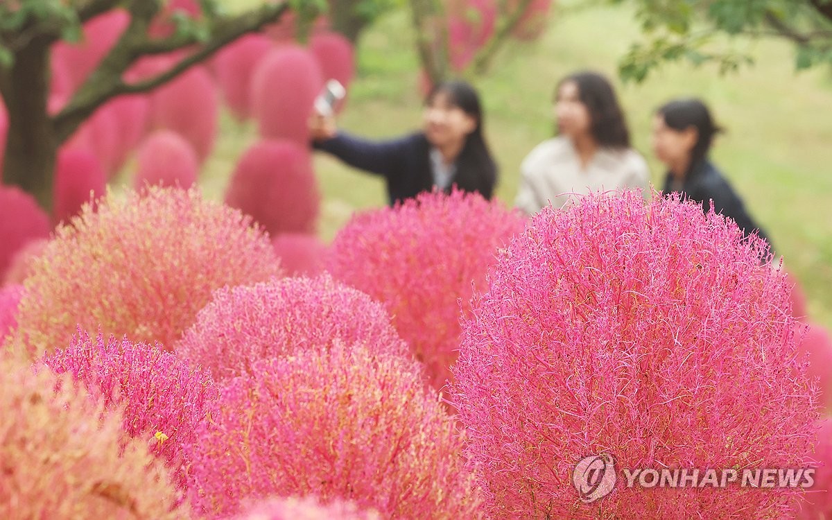 오전 곳곳 짙은 안개…15도 내외 큰 일교차 주의(내일 날씨 예보) - 김명수 기자 - 톱스타뉴스