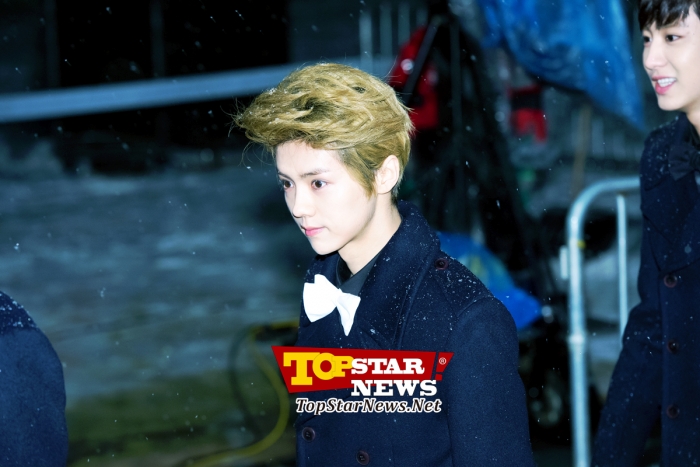 EXO-K, ‘A majestic group’…2012 SBS Gayo Daejun red carpet [KPOP PHOTO ...