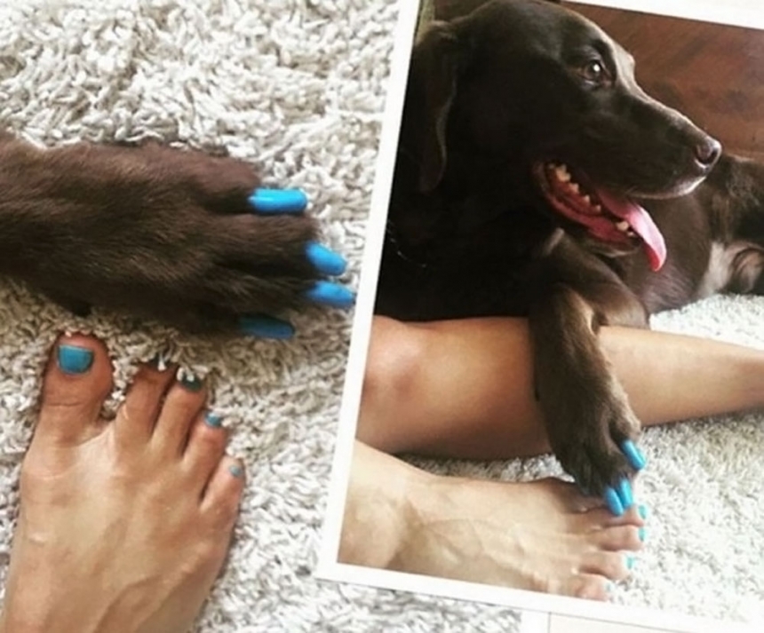 주인과 ‘커플 패디큐어’한 반려동물들 - 박혜미 기자 - 톱스타뉴스