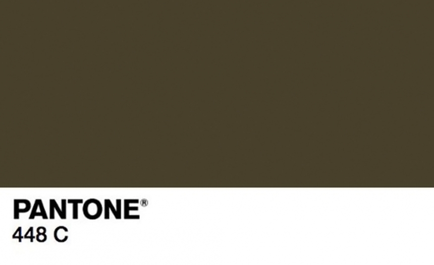 사람들이 가장 혐오하는 색으로 알려진 ‘pantone 448C’ - 박혜미 기자 - 톱스타뉴스