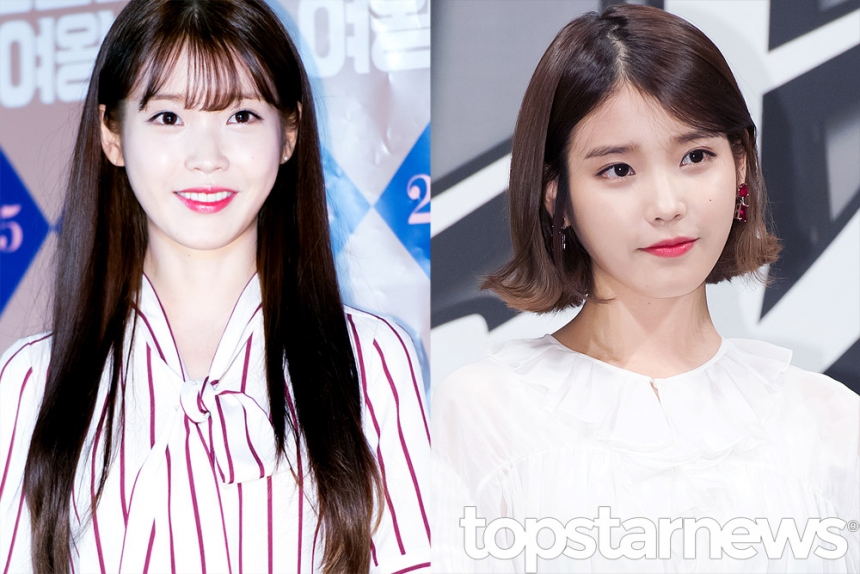 [HD테마] 여자 연예인의 단발VS장발…에이오에이(AOA) 초아, 아이유(IU), 이엑스아이디(EXID) 하니 - HD테마갤러리 기자 - 톱스타뉴스