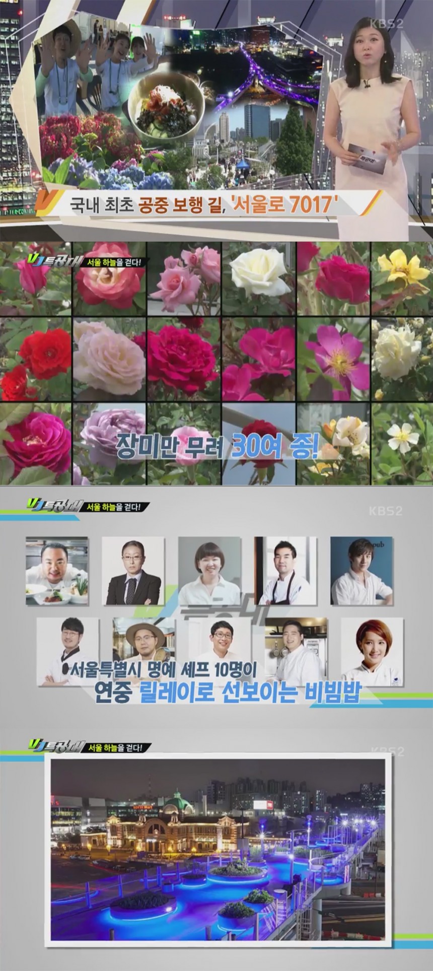 [방송리뷰] ‘VJ특공대’, 서울의 첫 고가 보행로…‘서울로 7017’ - 김지웅 기자 - 톱스타뉴스